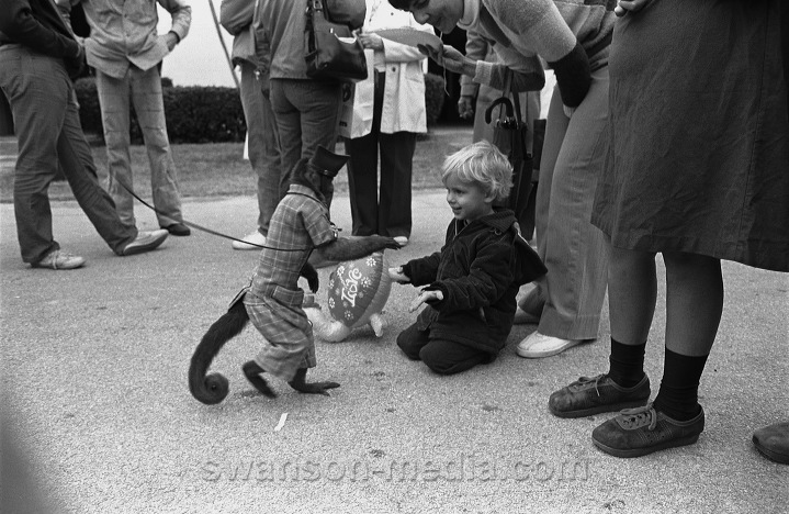 Images by Swanson Media: Entertainment | 7 of 7 | Monkey at Fair